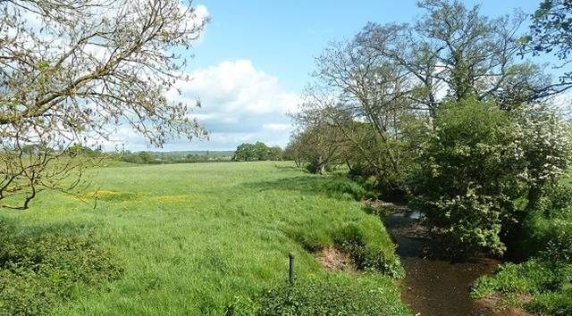 cranbrook-1_full - Cranberry Farm